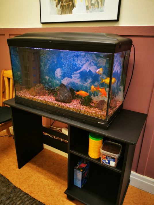 Komplett akvarium inkl fiskar | LindeNytt.com